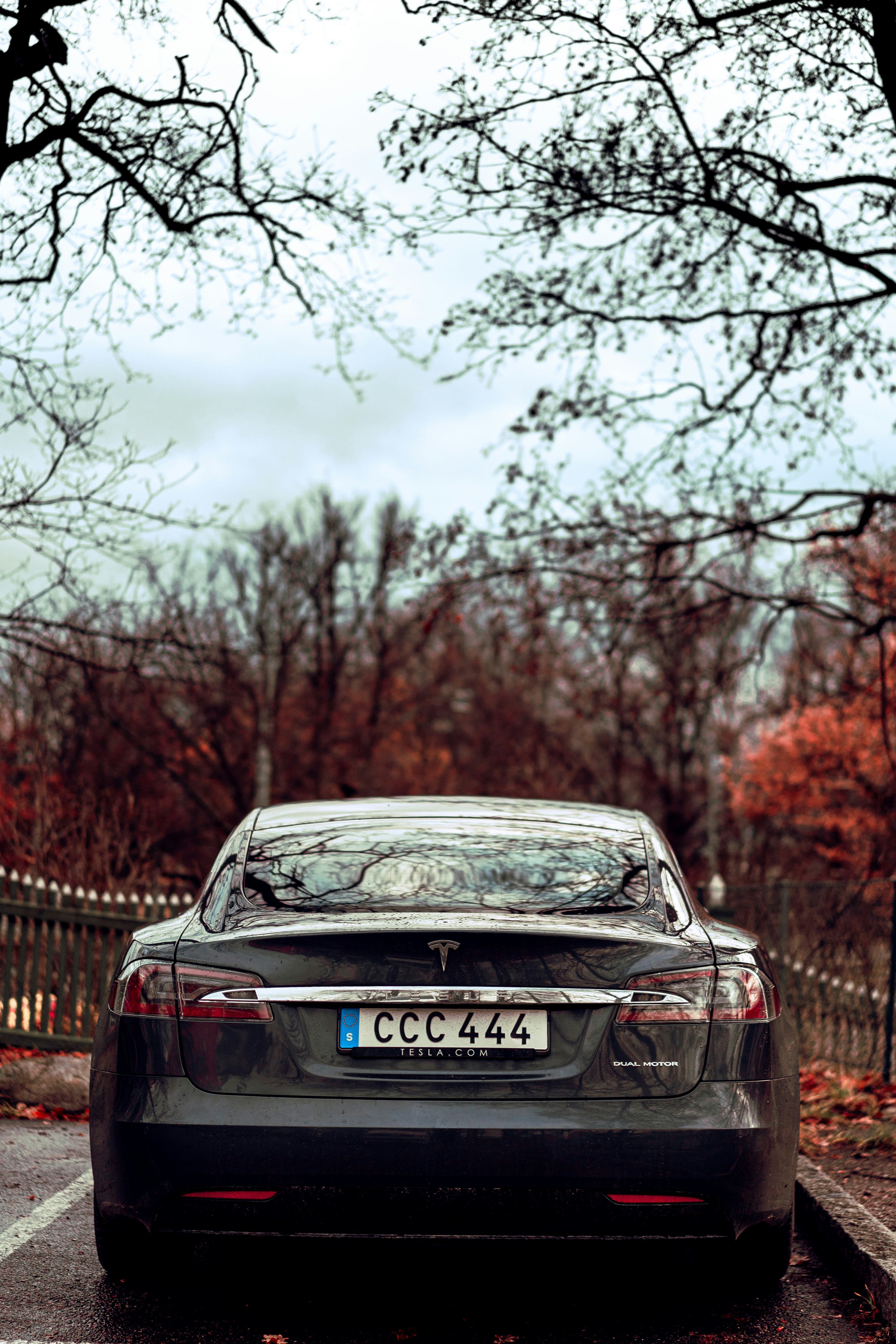 Can I Put a Private Plate On My Lease Car? | LeaseLoco